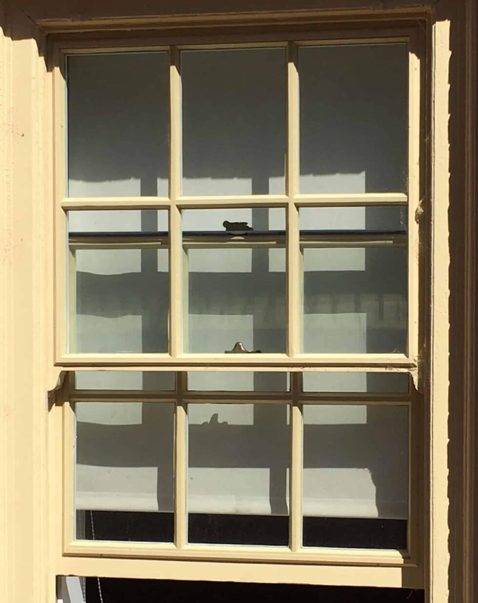 View Our Photo Gallery | Window SLIP