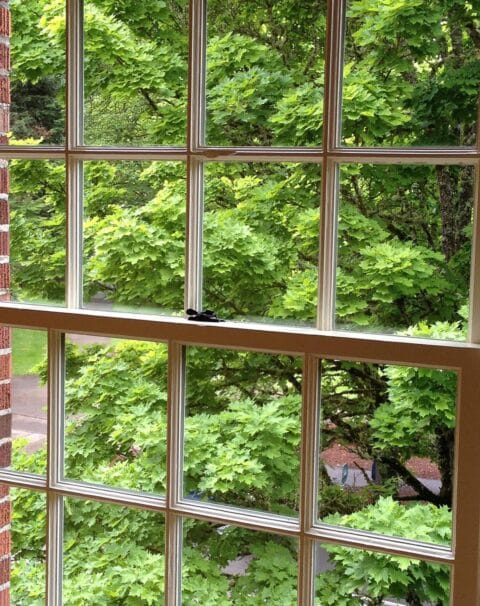 View Our Photo Gallery | Window SLIP