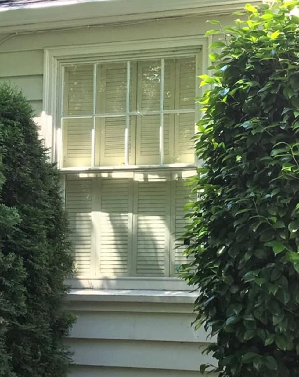 View Our Photo Gallery | Window SLIP