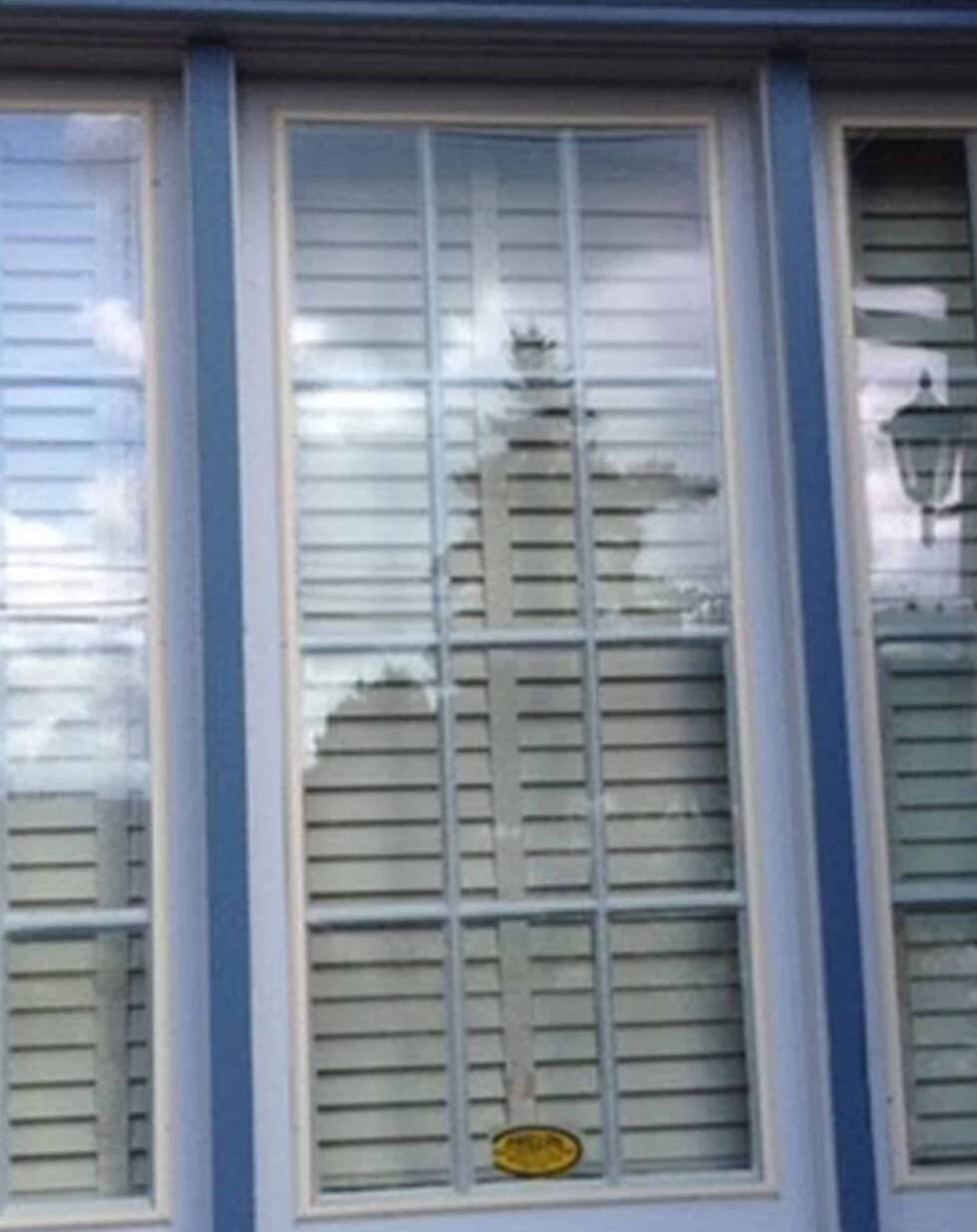 View Our Photo Gallery | Window SLIP
