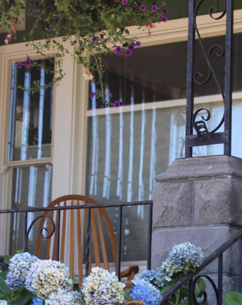 View Our Photo Gallery | Window SLIP